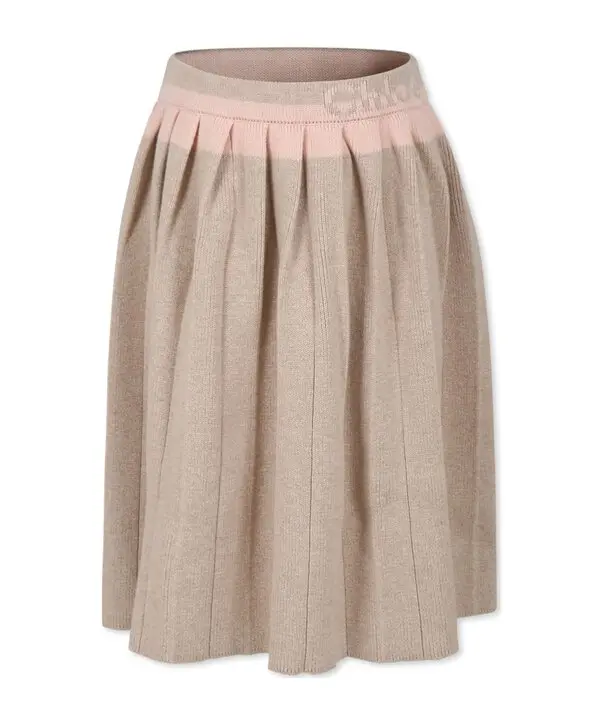 Chloé Pleated A-line Skirt With Logo Detail