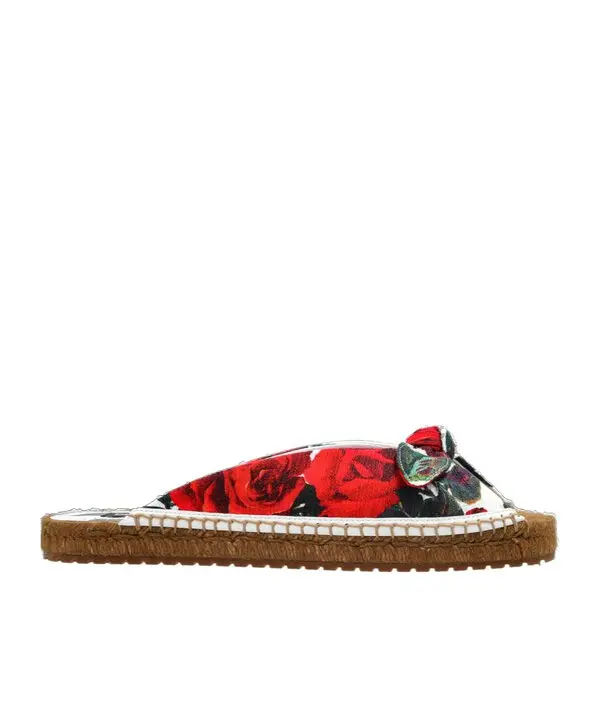 Dolce & Gabbana Floral Printed Slides - Brown