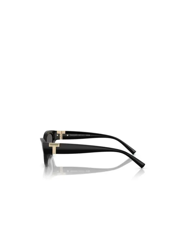 TIFFANY  CO. Tiffany & Co. Cat Eye Frame Sunglasses