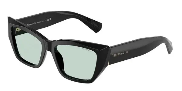 TIFFANY  CO. Tiffany & Co. Cat Eye Sunglasses