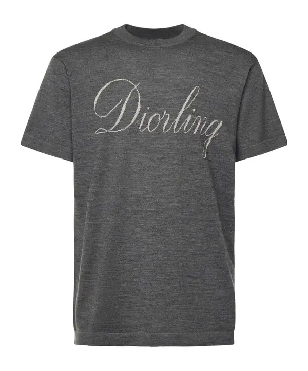 Dior Diorling Crewneck T-shirt - Black