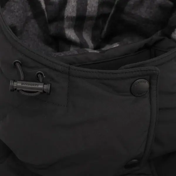 Burberry Down-filled Hooded Parka