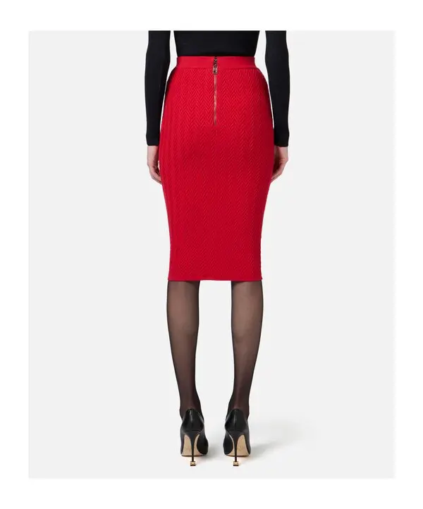 Elisabetta Franchi Chained Midi Skirt