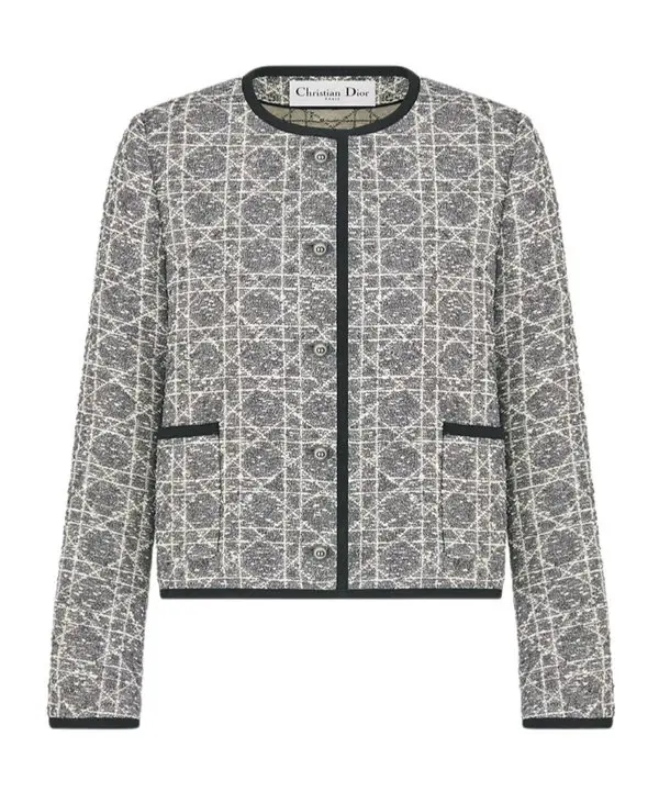 Dior Christian Button-up Crewneck Jacket - Grey