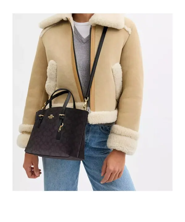 COACH Molly Tote Bag