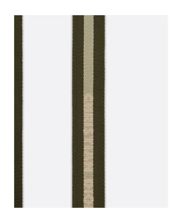 Dior Striped Buckled Belt