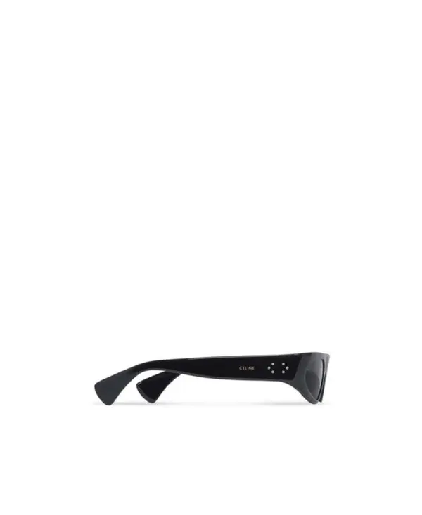 Celine Frame 47 Sunglasses In Acetate