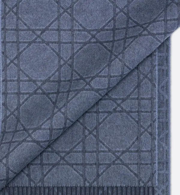 Dior Cannage Scarf