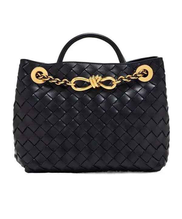 Bottega Veneta Small Andiamo Chain Bag