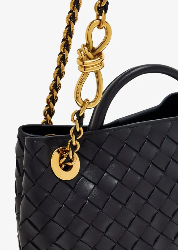Bottega Veneta Small Andiamo Chain Bag