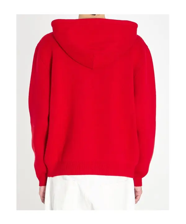 Celine Hooded Sweater In Cashmere
