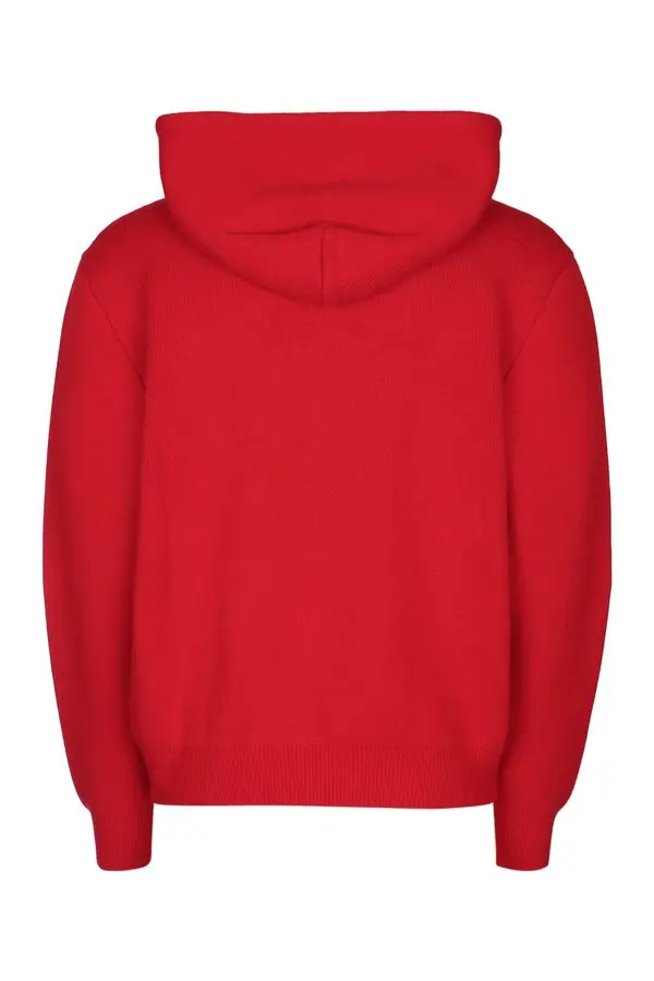 Celine Hooded Sweater In Cashmere
