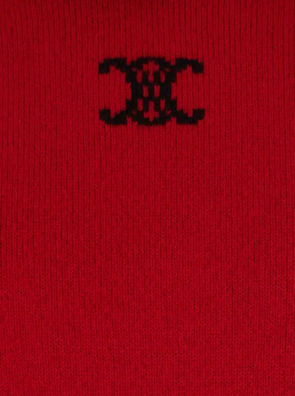 Celine Hooded Sweater In Cashmere