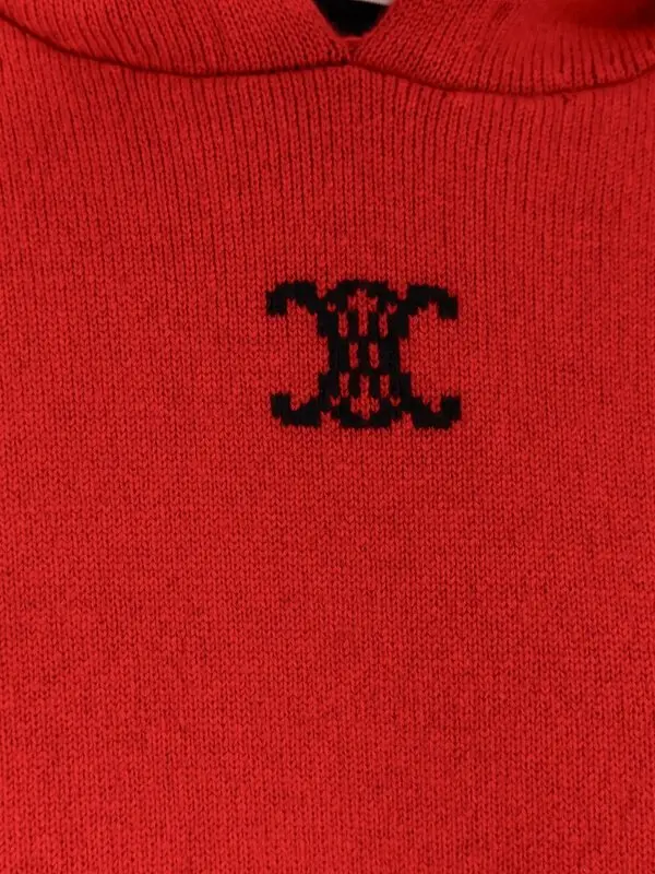 Celine Hooded Sweater In Cashmere