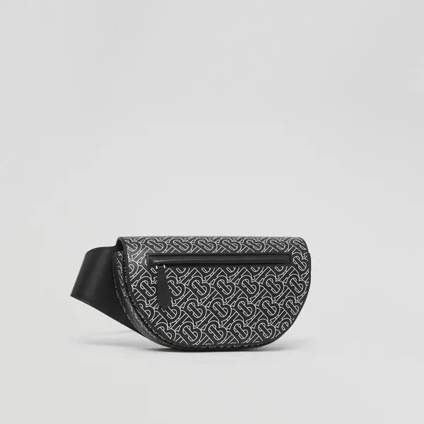 Burberry Olympia Belt Bag