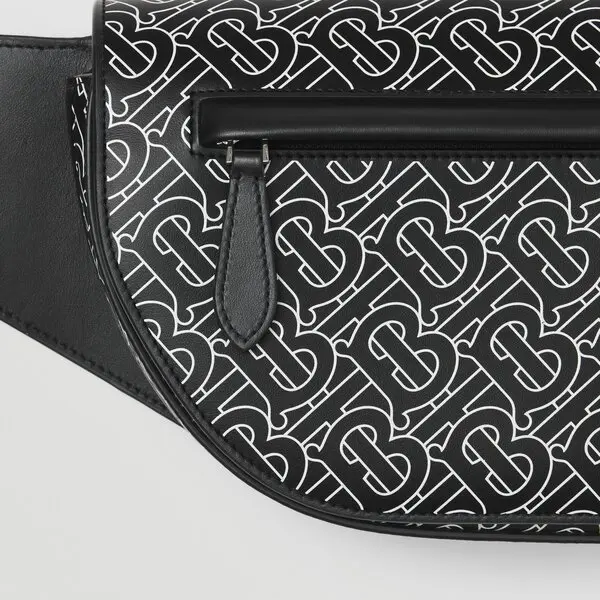 Burberry Olympia Belt Bag