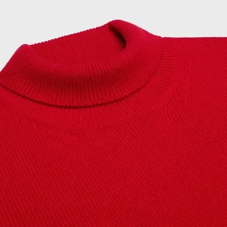 Celine Turtleneck Sweater In Scottish Cashmere