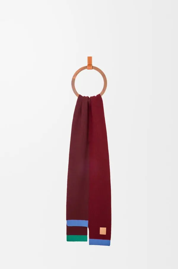 Loewe Colourblock Scarf