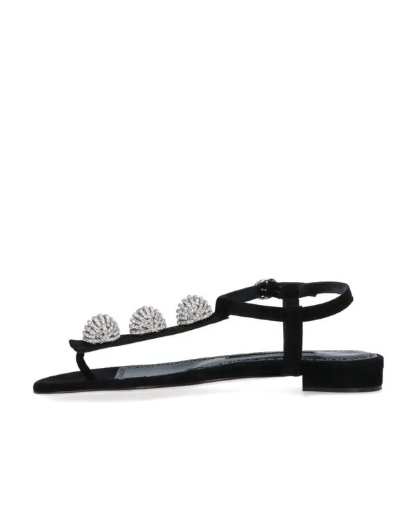 Manolo Blahnik Embellished Buckle-fastened Sandals