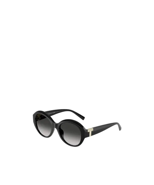 TIFFANY  CO. Tiffany & Co. Oval Full Rim Sunglasses