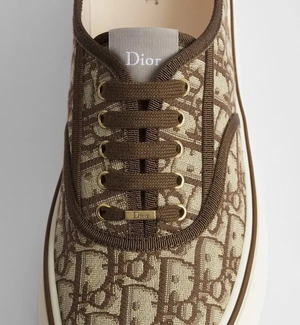 Dior Saltwind Sneaker - Brown