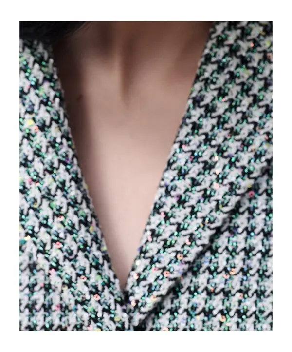 Dior Fitted Jacket With Houndstooth Pattern And Sequins