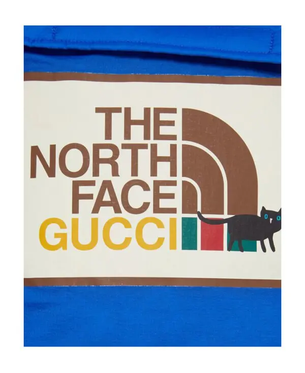 Gucci The North Face X Down Padded Jacket
