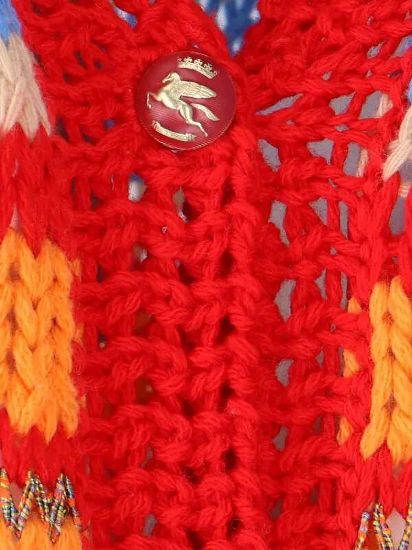 Etro Knitted Button-fastening Cardigan