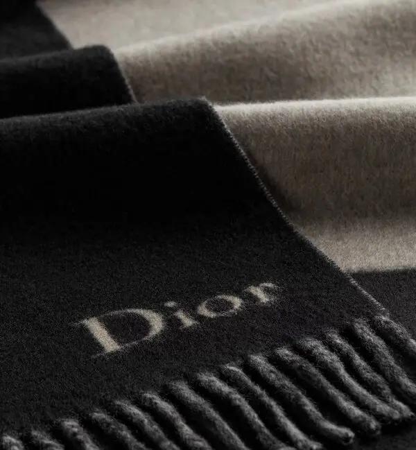 Dior Double-sided Scarf