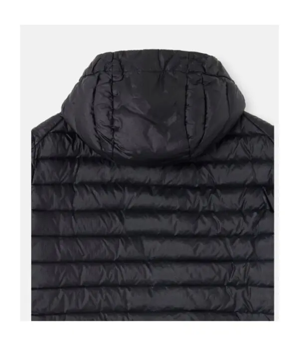 Stone Island Logo-patch Padded Jacket - Navy Blue