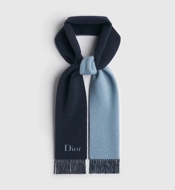 Dior Reversible Fringed Scarf