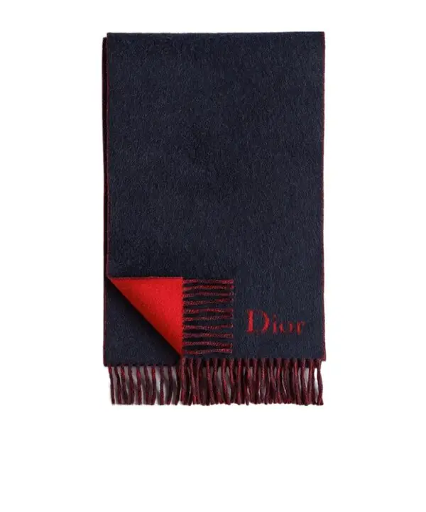 Dior Double-sided Scarf - Navy Blue/red