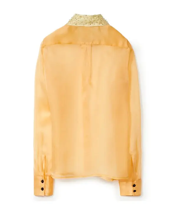Fabiana Filippi Embellished Georgette Shirt