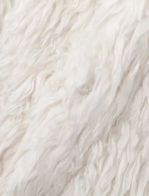 Gabriela Hearst Long Sleeve Fur Coat