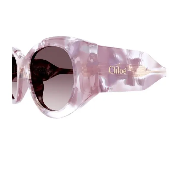 Chloé Eyewear Oval-frame Sunglasses - Multicolor