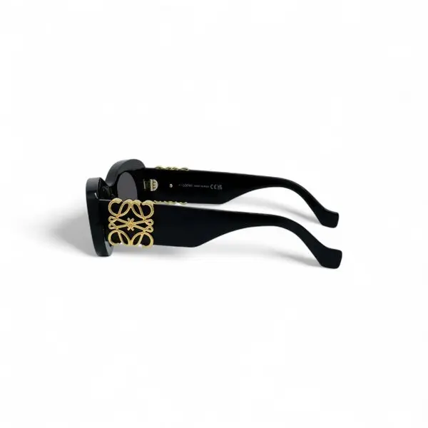 Loewe Oval Frame Sunglasses - Black