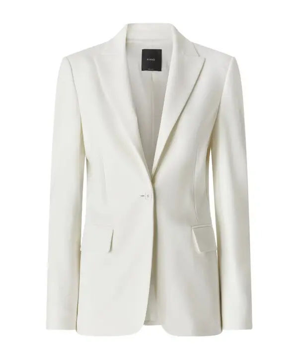 Pinko Single-breasted Blazer - No