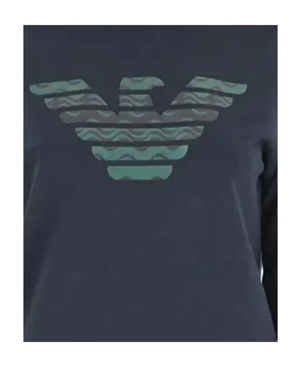 Emporio Armani Logo Printed Hoodie