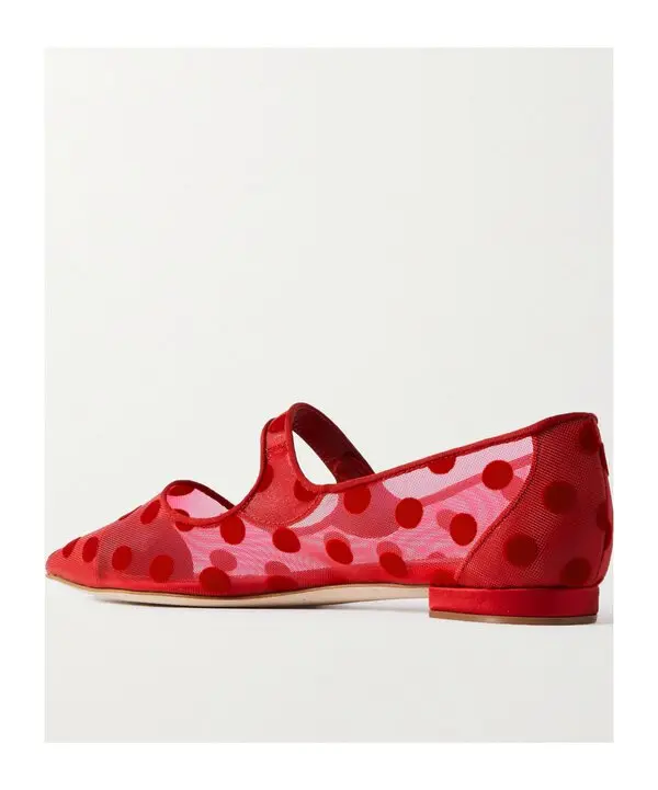 Manolo Blahnik Grosgrain-trimmed Flocked Mesh Ballet Flats