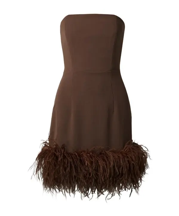 16Arlington Minelli Feather-trimmed Mini Dress