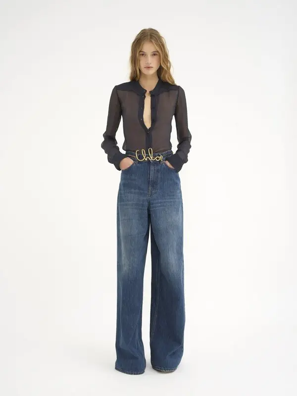 Chloé Sheer Button-up Blouse