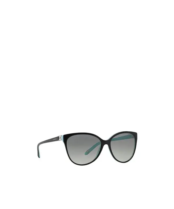 TIFFANY  CO. Tiffany & Co. Full Frame Sunglasses