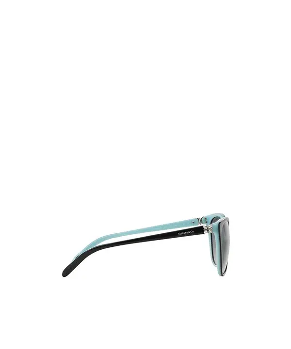 TIFFANY  CO. Tiffany & Co. Full Frame Sunglasses