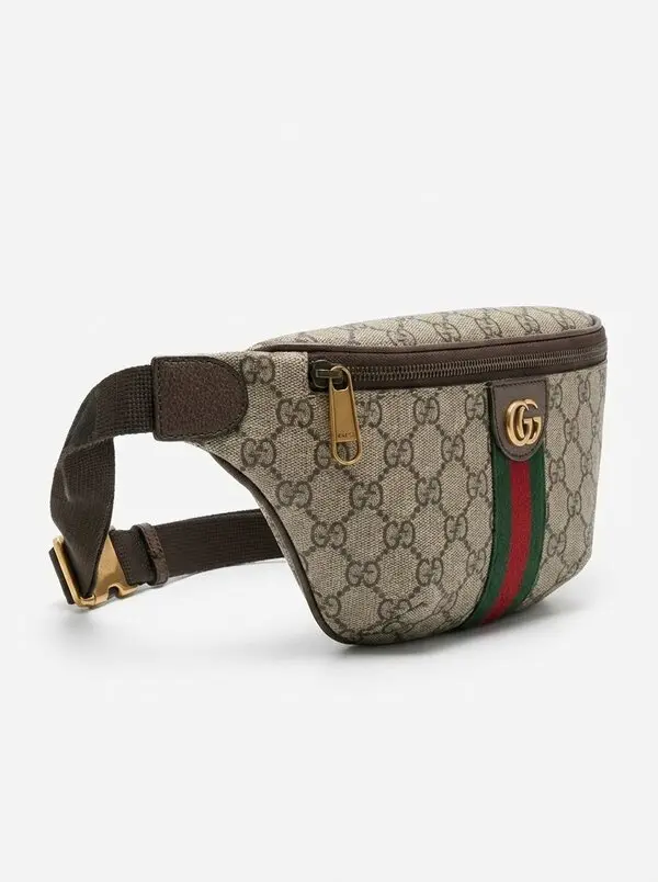 Gucci Ophidia Small Belt Bag - Beige And Dark Brown