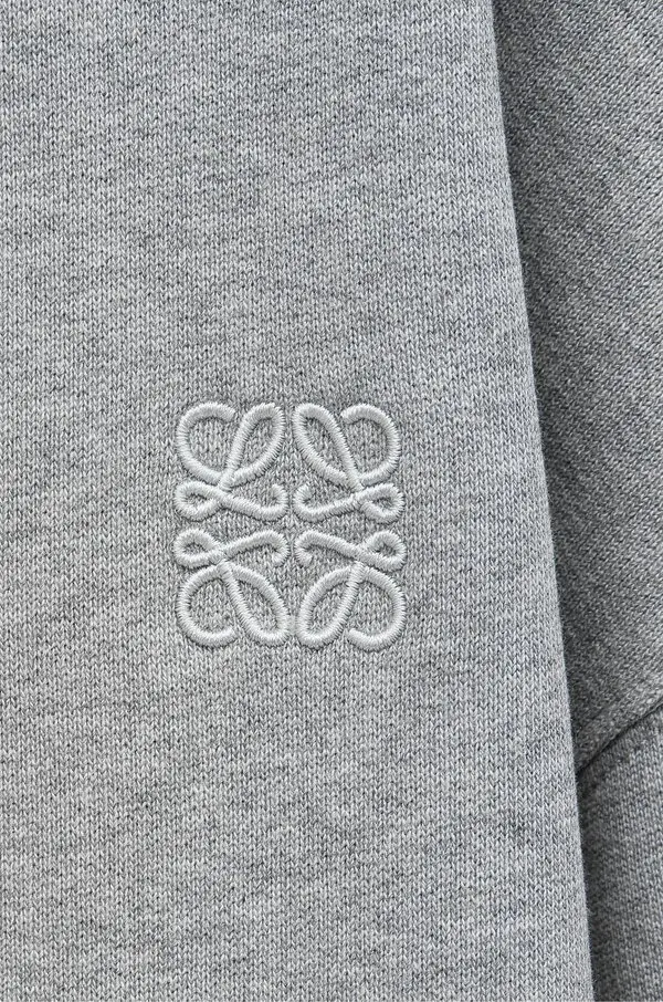 Loewe Long-sleeved Drawstring Hoodie - Grey