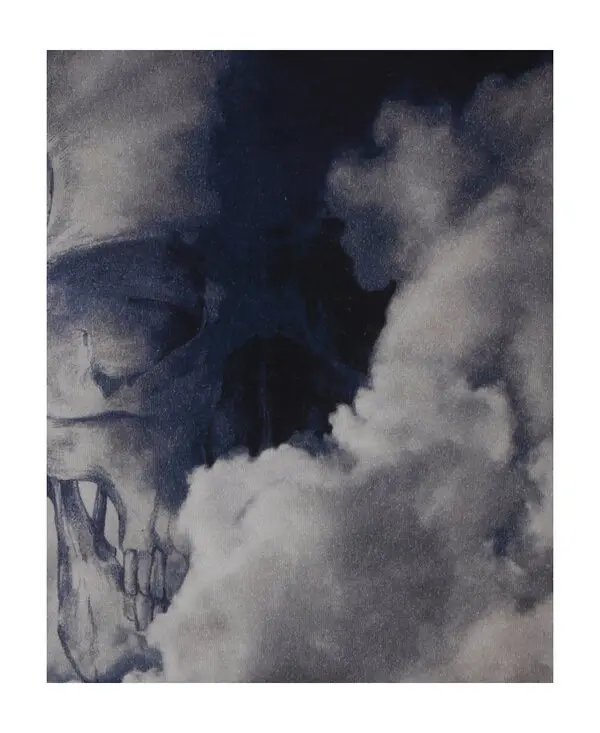 Alexander McQueen Storm Skull Print T-shirt