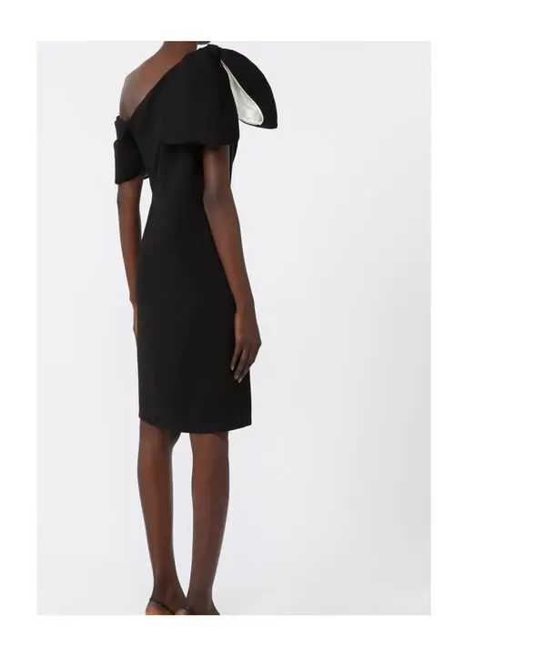 Max Mara Baldi Bow Detailed Mini Dress