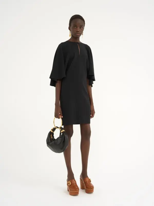 Chloé Cape Sleeves Mini Dress