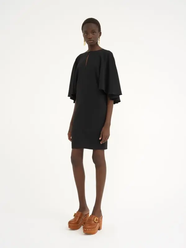 Chloé Cape Sleeves Mini Dress