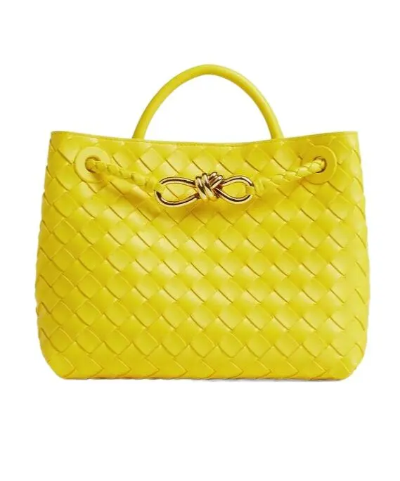 Bottega Veneta Small Andiamo Bag